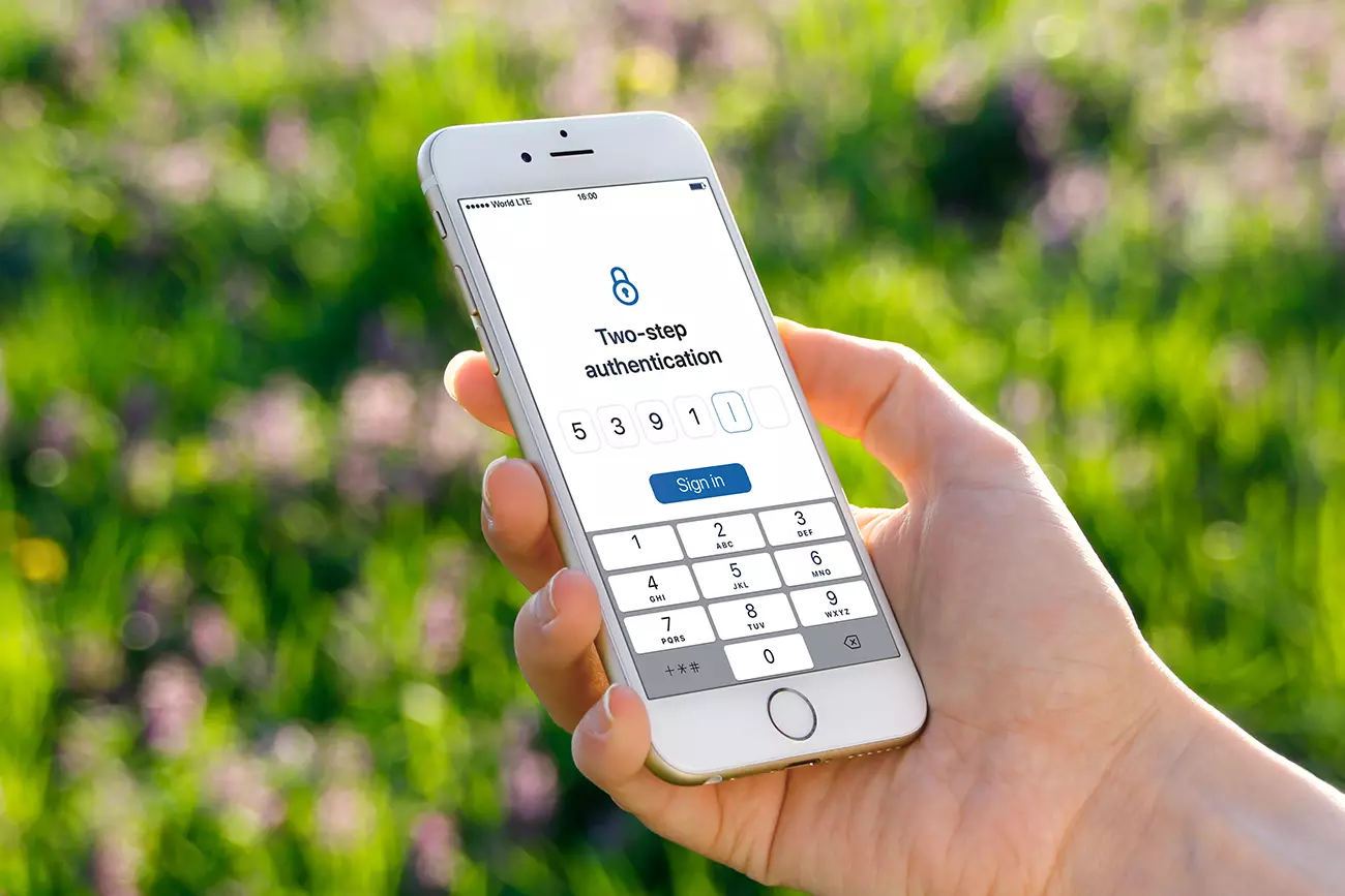 What is Two-Factor Authentication? How it Works and Examples