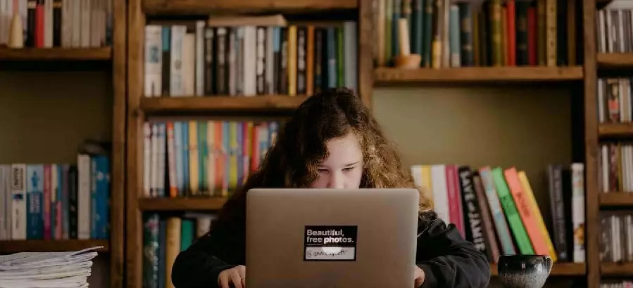 Education Verification & Background Checks Explained - Free Background ...